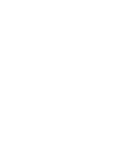 About Us - Birkdale Insurance Group
