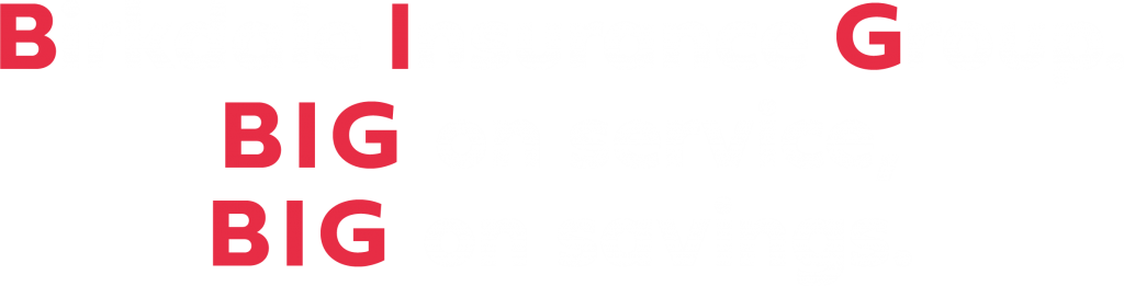 About Us - Birkdale Insurance Group